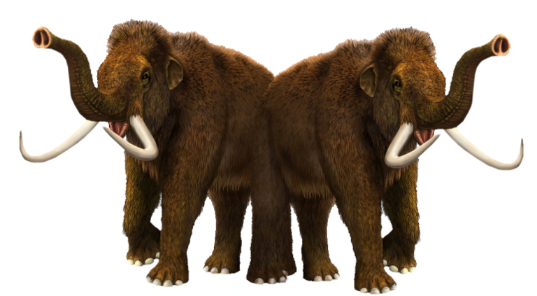 Exhibits / Programs - Alaska Museum of Science and Nature