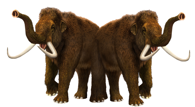 Exhibits / Programs - Alaska Museum of Science and Nature